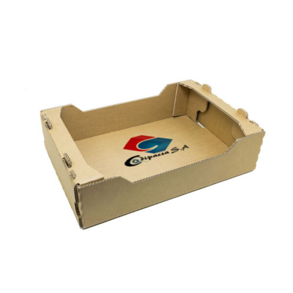 Cajas para fruta – Cajas y empaques