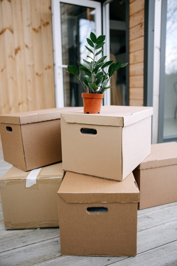 Cajas de cartón ayuda al medio ambiente – Cajas y empaques